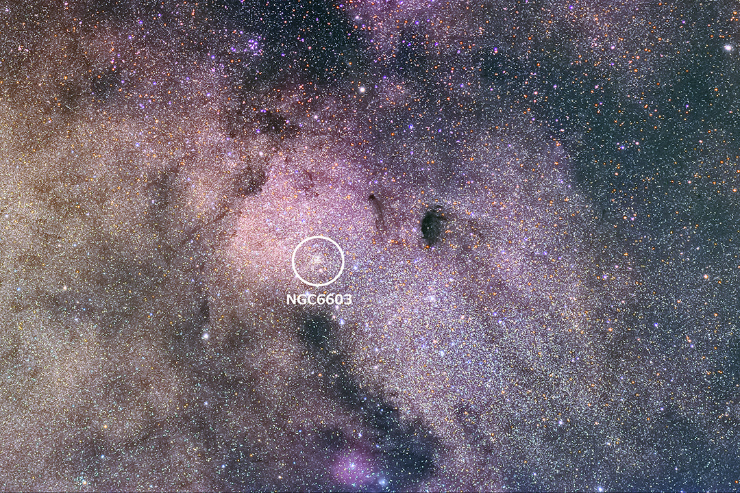 バンビの横顔の星野 | Shades Of Heart